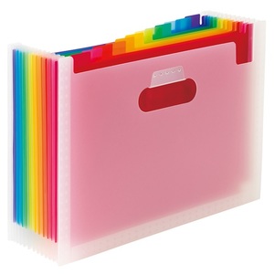 Books Kinokuniya: A4 FILING CASE(PLASTIC) 13 pockets - W330 xH236 xD20 ...