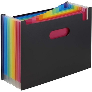 Books Kinokuniya: A4 FILING CASE(PLASTIC) 13 pockets - W330 xH236 xD20 ...