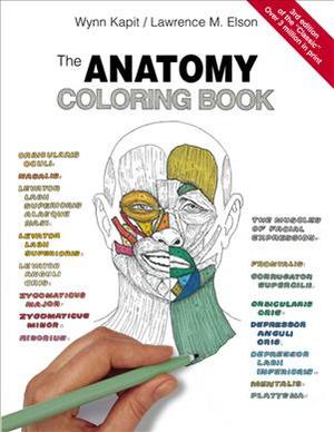 Books Kinokuniya: The Anatomy Coloring Book (3rd CLR CSM) / Kapit, Wynn ...