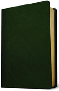 Books Kinokuniya: Baylor Annotated Study Bible / Bellinger, W. H. (EDT ...