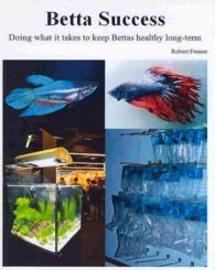 Books Kinokuniya: Betta Success : Doing What It Takes to Keep Bettas ...